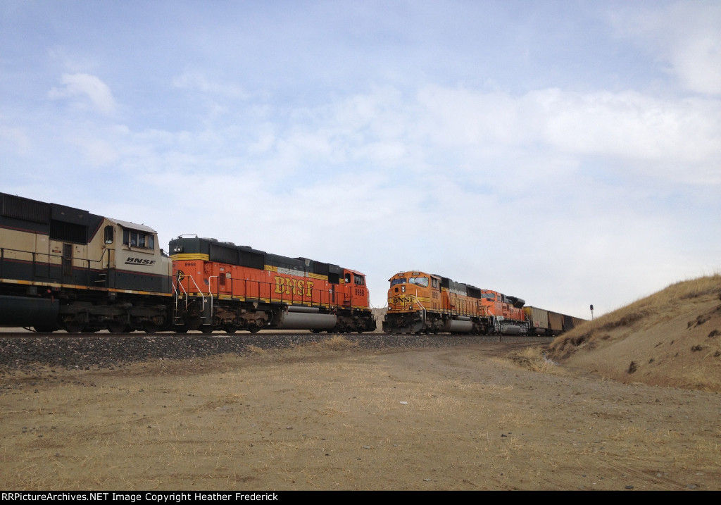 BNSF 8891